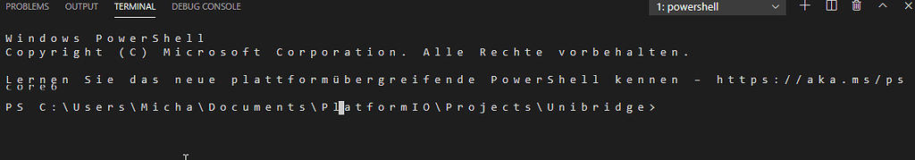 A Space After Each Character In Console PlatformIO IDE PlatformIO A Space After Each Character In Console PlatformIO IDE PlatformIO